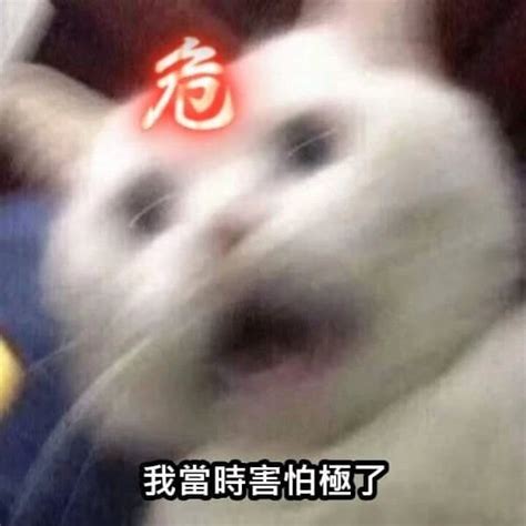 我還親自遇過鄭x威來呢！只是當時他還沒出事