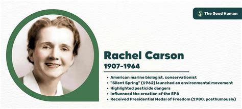 Worlds Most Renowned Marine Biologists And What They Achieved