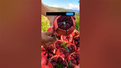 Dumbb Bro Nailed It Youtube