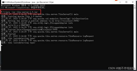 【apache tika】在各环境独立部署tika server通过接口调用实现文档解析 csdn博客