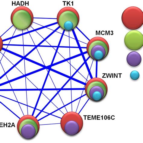 Comparison Between Weighted And Unweighted Network Analysis The