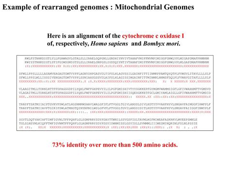 Ppt Genome Rearrangements Powerpoint Presentation Free Download Id715155