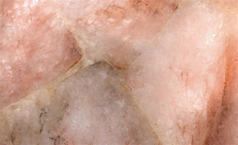Hematoid Payanini