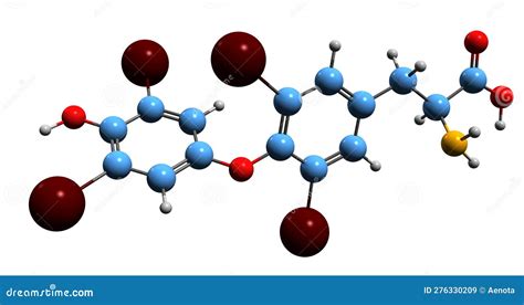 3d Image Of Levothyroxine Skeletal Formula Stock Illustration Illustration Of Hormone Anxiety