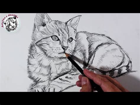 Dibujo Realista De Gato Durmiendo Gatos Realistas De Jean Bernard