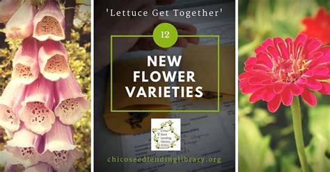 Chico Seed Lending Library Home Facebook