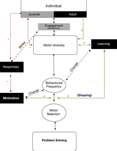 Conceptual Model Illustrating The Central Role Of Motor Variability Download Scientific Diagram