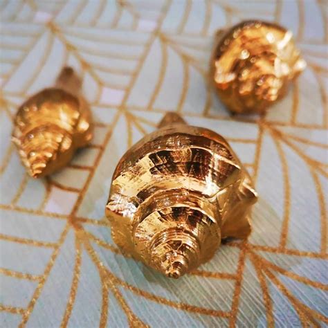 Sea Drawer Pulls Brass Etsy