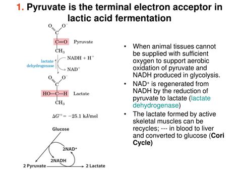 Ppt 陳泰源 博士 中央研究院 生物化學研究所 200751 National Taiwan Normal University