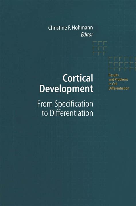 Cortical Development From Specification To Differentiation 1st Edition