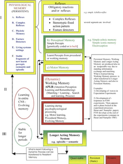 A Draft For A Detailed Scheme Of Memory Levels Including The Download Scientific Diagram