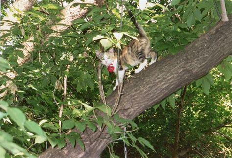 What Is The Perfect Definition Of Being Settled In Life Quora