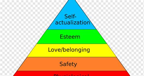 Maslow의 계층 구조 심리학 기본 인간 요구 인간 동기 부여 이론 Abraham Maslow Maslow의 계층 구조