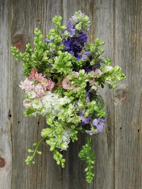 Wholesale Assorted Larkspur Delivered Online Flowerfarm