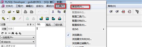 PLSQL连接Oracle 数据库配置详解 残星 博客园