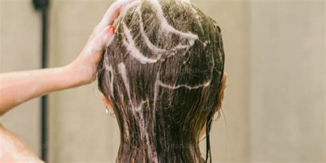 Cbd Shampoo The Ultimate Guide Roxilia