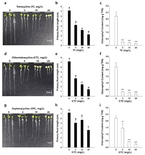 Effects Of Tetracycline Tc Chlorotetracycline Ctc And Download Scientific Diagram