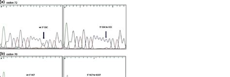 sequence analysis of nucleotide alterations at codon 72 in wild type