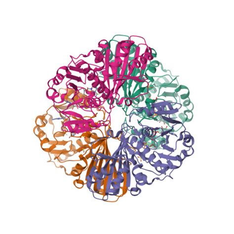 Rcsb Pdb 1ihx Crystal Structure Of Two D Glyceraldehyde 3 Phosphate Dehydrogenase Complexes