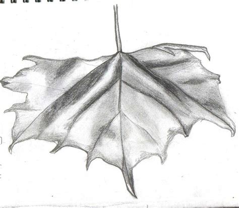 Dead Leaf Drawing At Explore Collection Of Dead