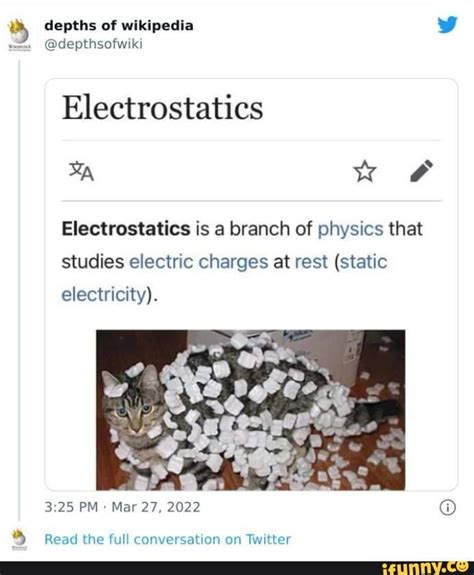 Science Cat Meme Physics