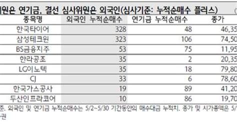 하락장서 연기금·외인이 사들인 종목 8選 하나대투