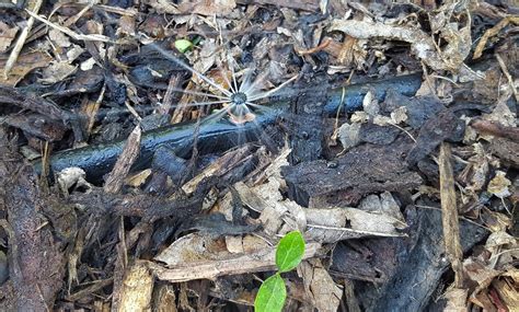 Iot Garden Watering With Arduino Esp32 And Openweathermap With Pictures