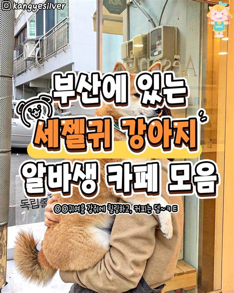 부산핫플 부산맛집 부산카페 부산여행 두더지가 빼꼼👀 귀여운 라떼가 있는 사직동 카페 슈 속에 숨은 이 귀요미가 두더지래😆💕 수제치즈크림의 플랫화이트 위에 초귀여운