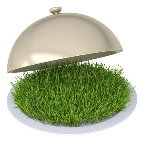 Green Grass On A Plate With A Lid Stock Illustration Illustration Of