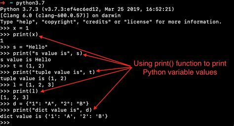 Cómo definir una variable en Python