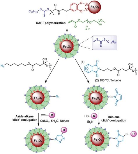 Synthesis And Modification Of Polymer Brush Grafted Magnetic Download Scientific Diagram