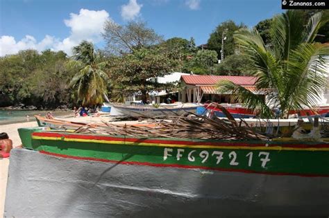 Anse Dufour Photo Anse Dufour Martinique Martinique Paysage Martinique Caraibes