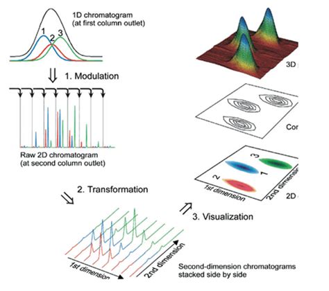 What Is Gcxgc Comprehensive Two Dimensional Gas Chromatography