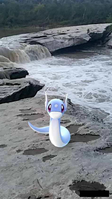 Dratini Wallpapers 66 Pictures Wallpaperset