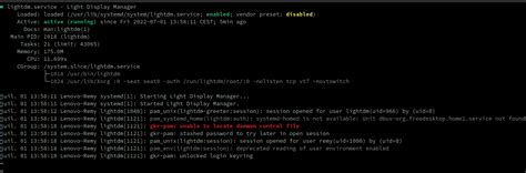 Fresh Install Failed To Start Light Display Manager Support Manjaro Linux Forum