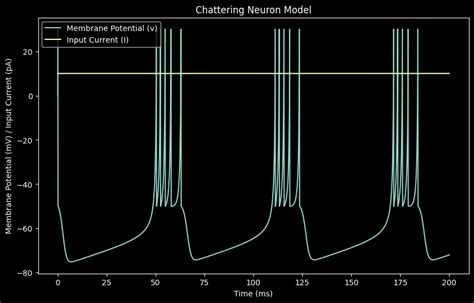 Models Of Point Neuronal Dynamics Python Implementation