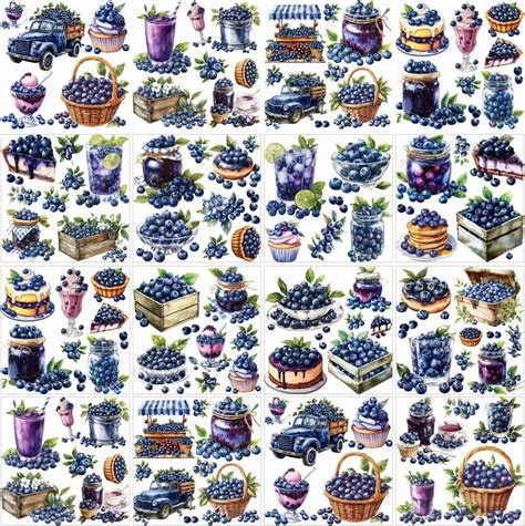 12 Sheets Blueberry Rub On Transfers 12 Style Fruit Heat Transfer Film