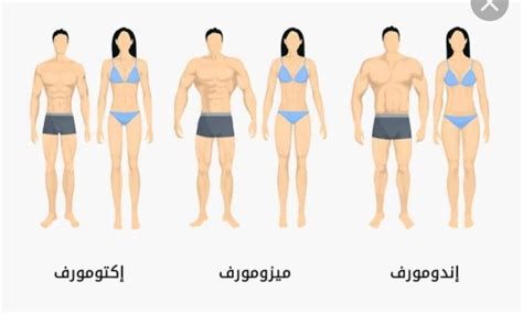 Batista Gym أنواع الأجسام وكيفيه التعامل فيها 😲 💥