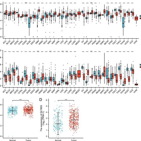 The Mrna Expression Levels Of Glt8d12 In Human Pan Cancer And Gastric