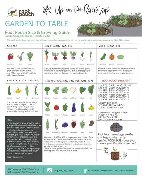 Vegetable Container Size Chart