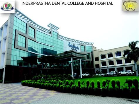 Classification Of Normal Occlusion And Malocclusion Ppt