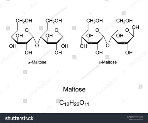 Maltose Ring Structure
