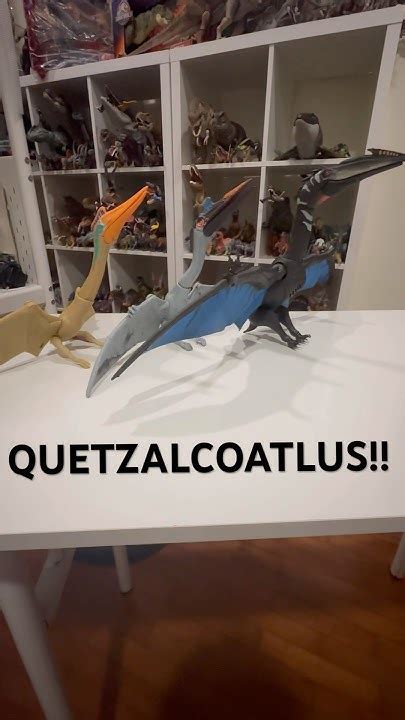 My Quetzalcoatlus Collection Jurassicworldrebirthquetzalcoatlus