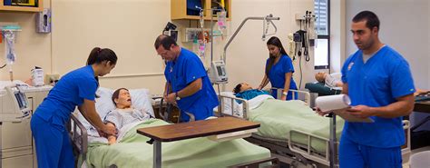 Pre Nursing Bsn Programs College Of Nursing And Health Sciences Barry University Miami