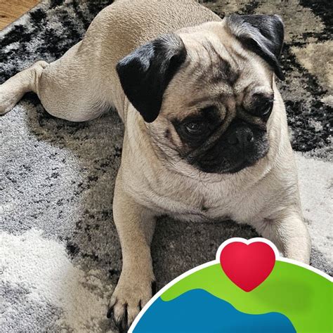 Bootle Man Sentenced To 12 Sex Crimes Uk And Worldwide Facebook