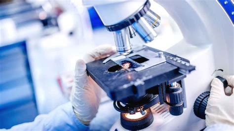 Analyzing Rna Expression With Microarray Reagents Best Practices And Pitfalls To Avoid Imc Grupo