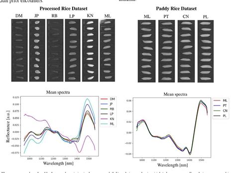 Figure 3 From Rice Quality Prediction Using Convolution Neural Network
