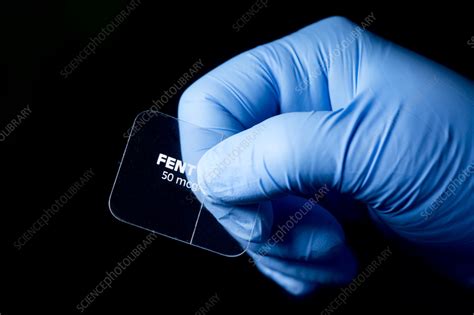 Fentanyl Transdermal Patch Stock Image F0359688 Science Photo