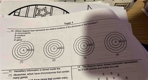 Topic 1 10 Which Diagram Best Represents The Relative Locations Of