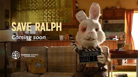 Rabbit Makeup Testing Saubhaya Makeup